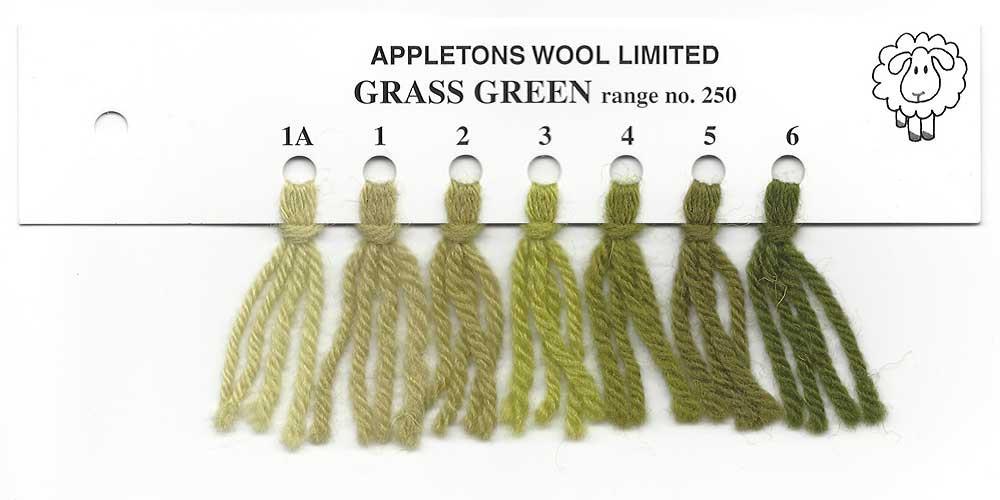 Appletons Wool Grass Green at Button and Needlework Boutique